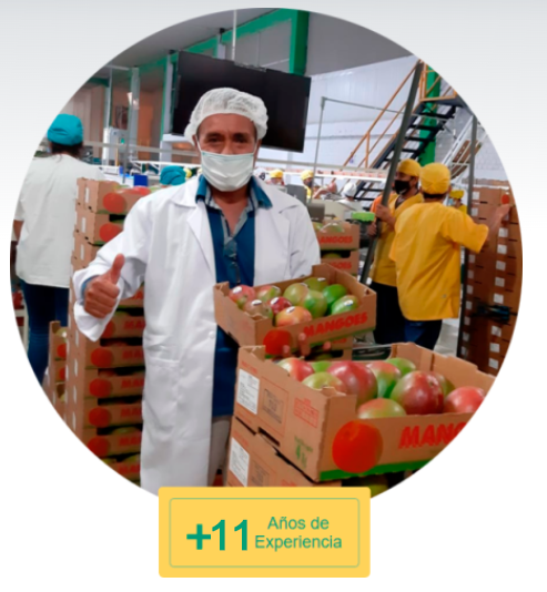 Nosotros – AgroExporta