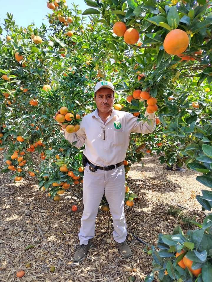 Gestión y Soporte de Producción – AgroExporta