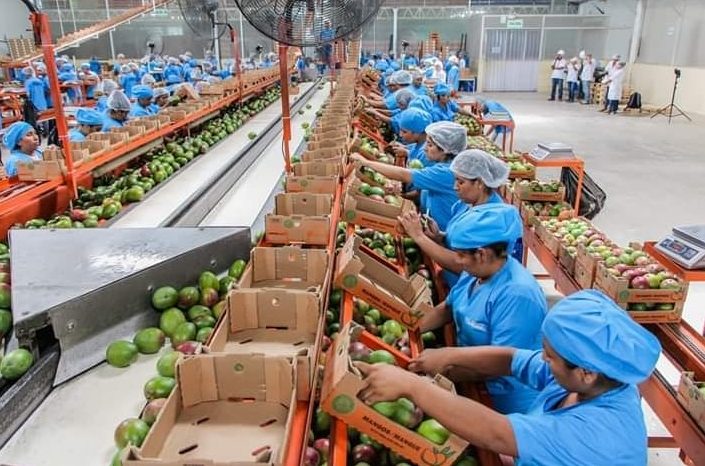 Fotos – AgroExporta